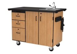 NPS Mobile Science Cart with External Drawers and Pegboard, Chem Res T ...